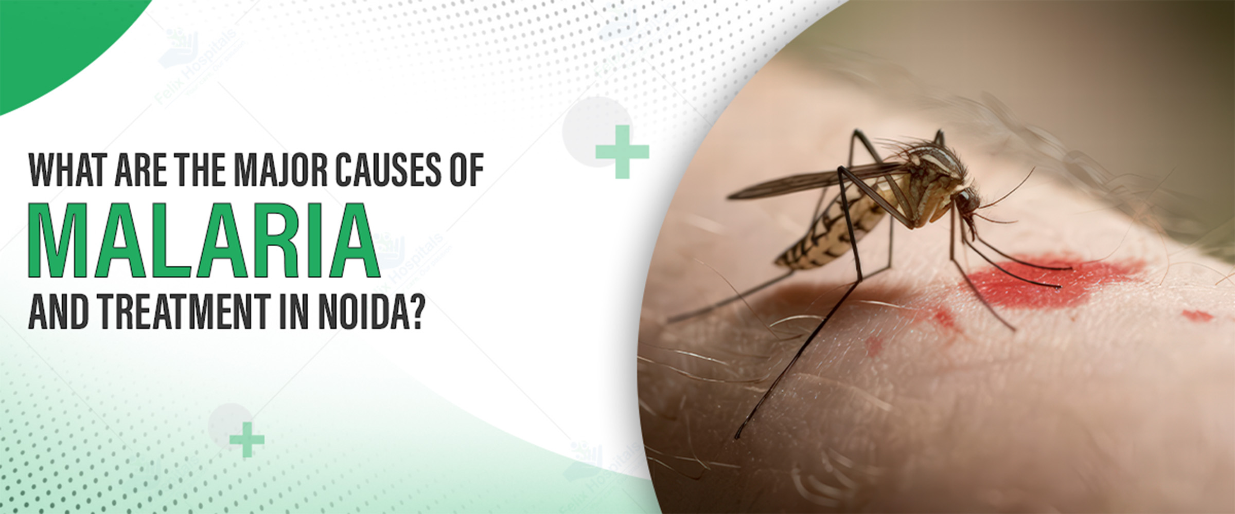 What are the Major Causes of Malaria and Treatment in Noida?