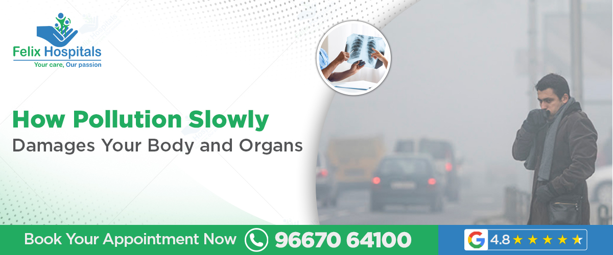 How Pollution Slowly Damages Your Body and Organs