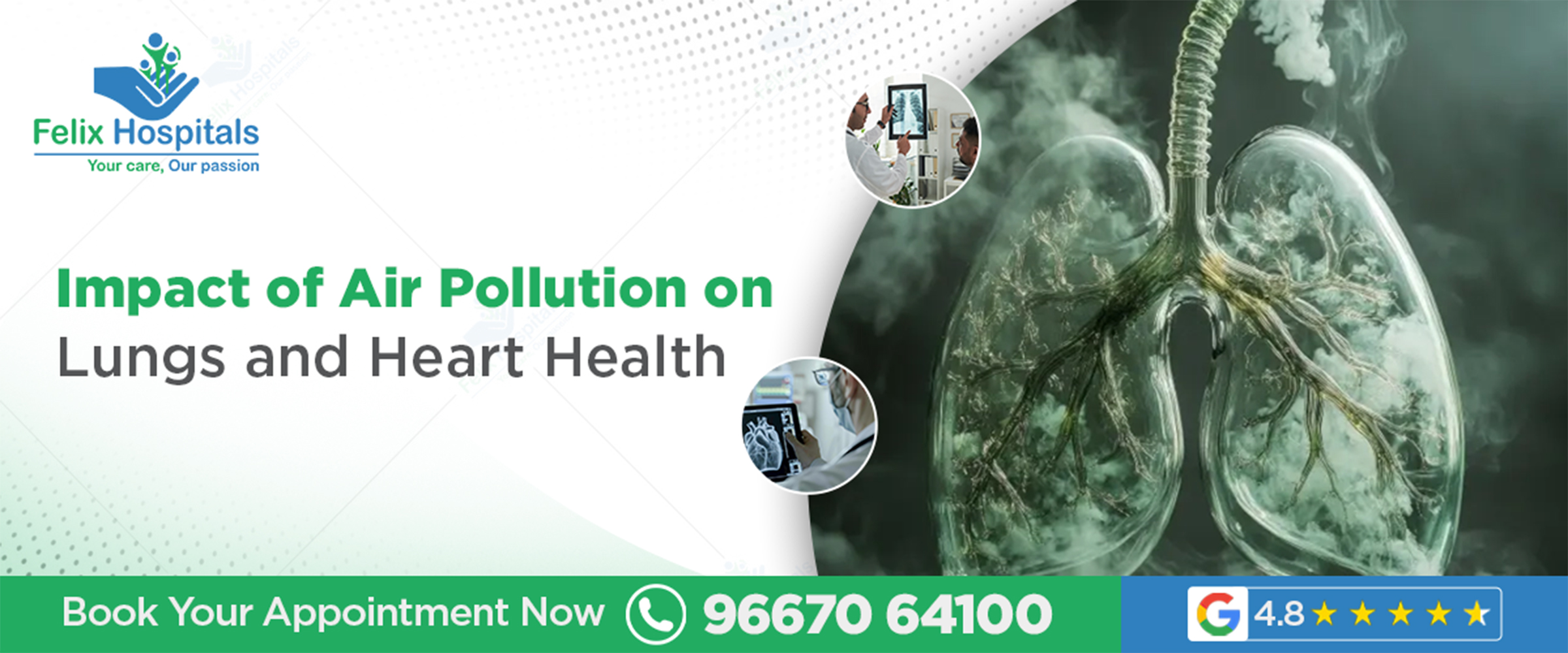 Impact of Air Pollution on Lungs and Heart Health