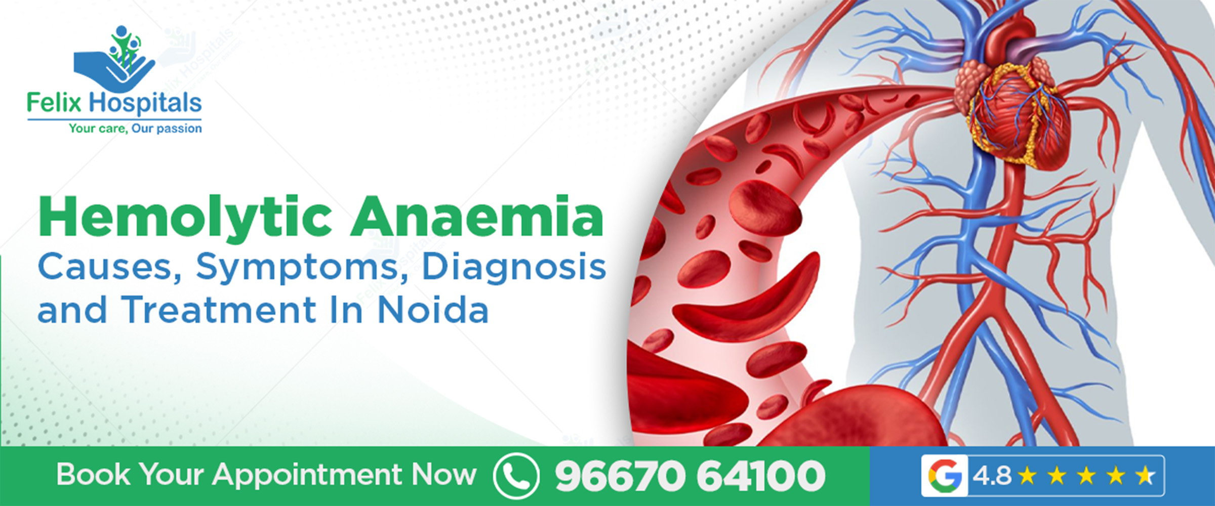 Hemolytic Anaemia: Causes, Symptoms, Diagnosis, and Treatment In Noida